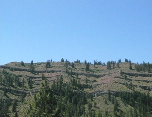 Liberty, Equality, and Geology: Columbia River Basalt Columns
